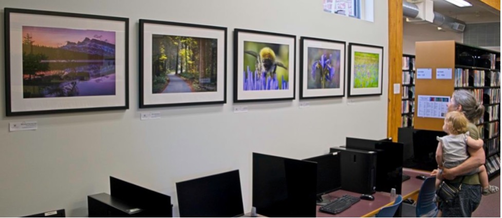 August 1st 2024 – Sechelt Public Library Photo Exhibition – Sunshine ...